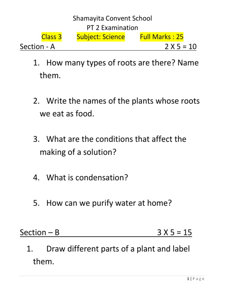 Class 3 Science Exam Questions | PDF