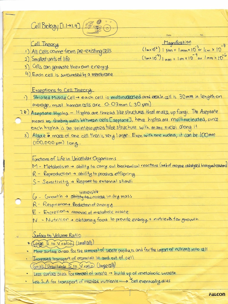Cell Biology - 1 | PDF
