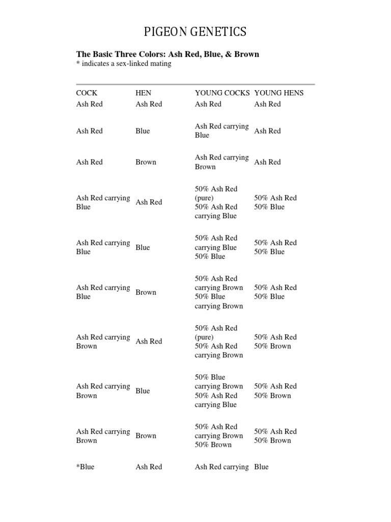 Understanding Pigeon Genetics Through Diagrams of Common Breeding Pairs ...