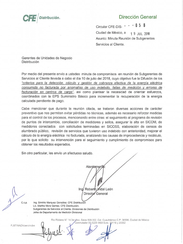 00 Circular Cfe-Dis-058 Minuta y Anexos 19jul18 | PDF