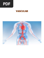 Classificação CEAP em Insuficiência Venosa | PDF | Varizes | Veia