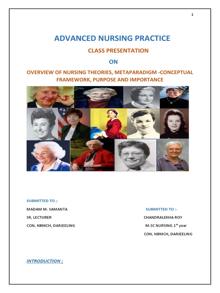 Overview of Nursing Theories | PDF | Theory | Concept