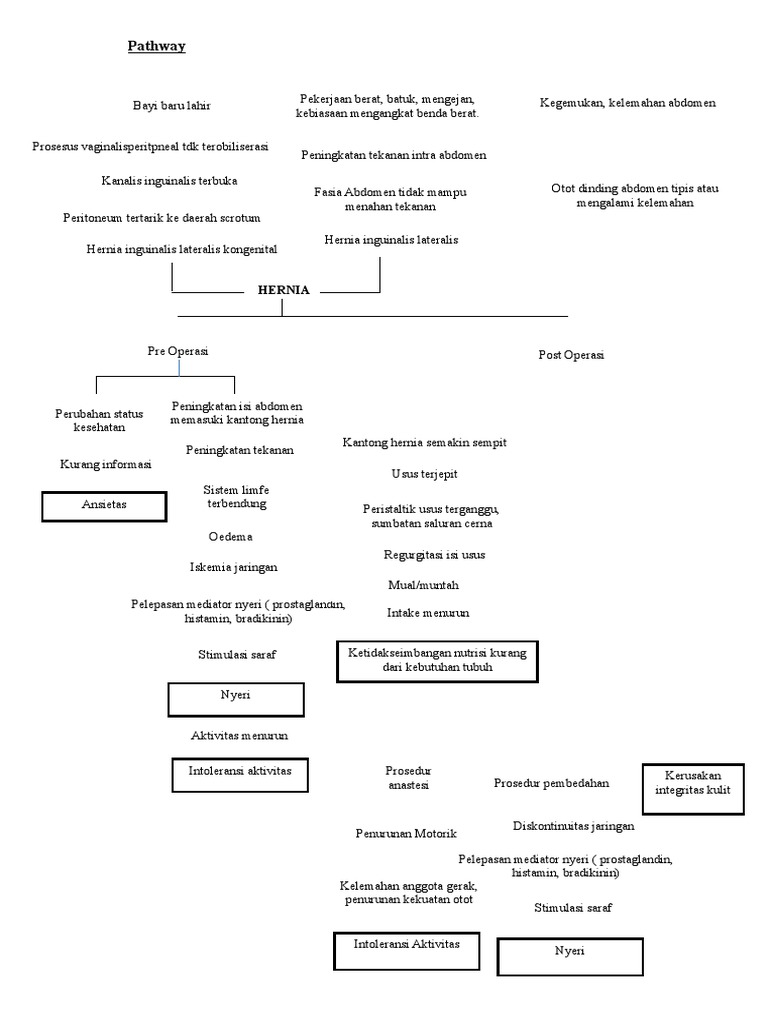 Pathway Hernia | PDF