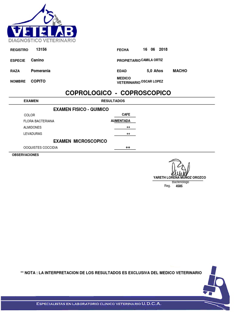 Coprologico - Coproscopico: Examen Fisico - Quimico | PDF