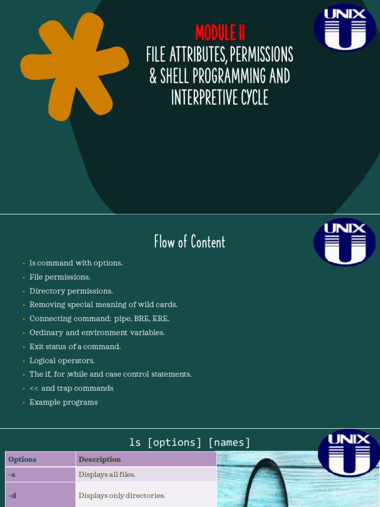 File Attributes Permissions And Shell Programming And Interpretive Cycle Pdf Parameter