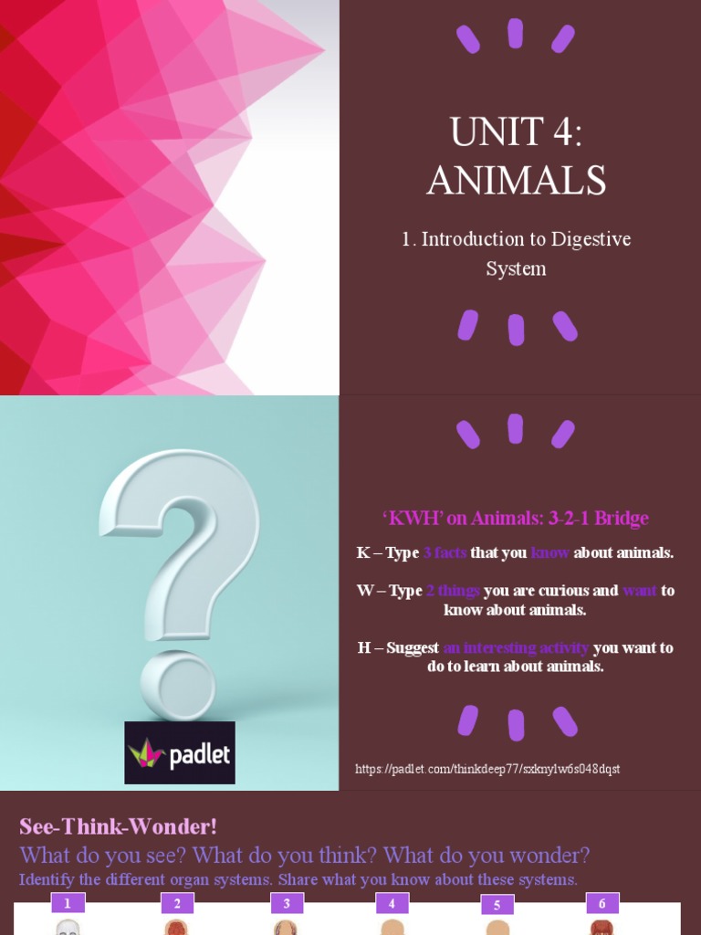 Introduction To Digestive System | PDF