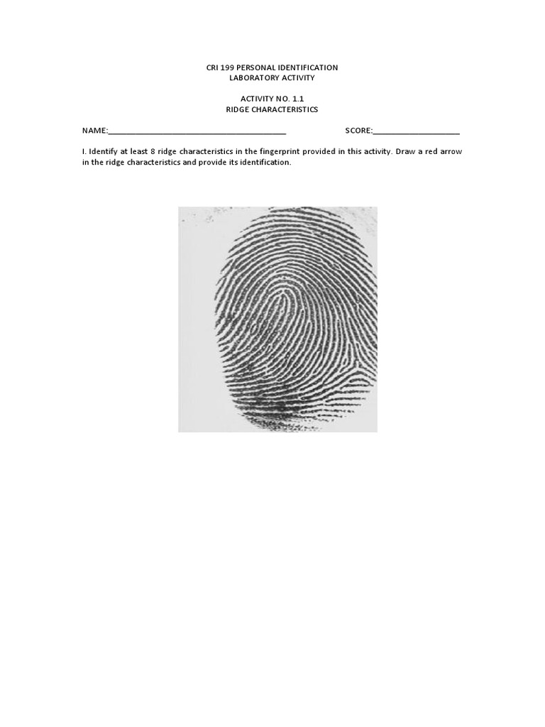 Ridge Characteristics in Fingerprints | PDF