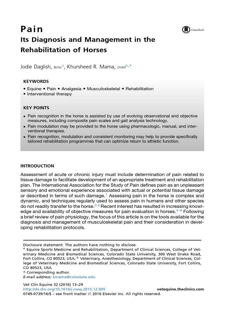 Pain Its Diagnosis and Management in The Rehabilitation of Horses ...