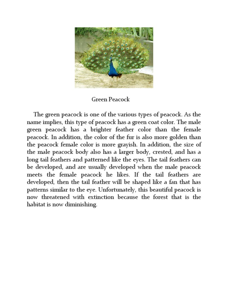 Descriptive Text Animal | PDF