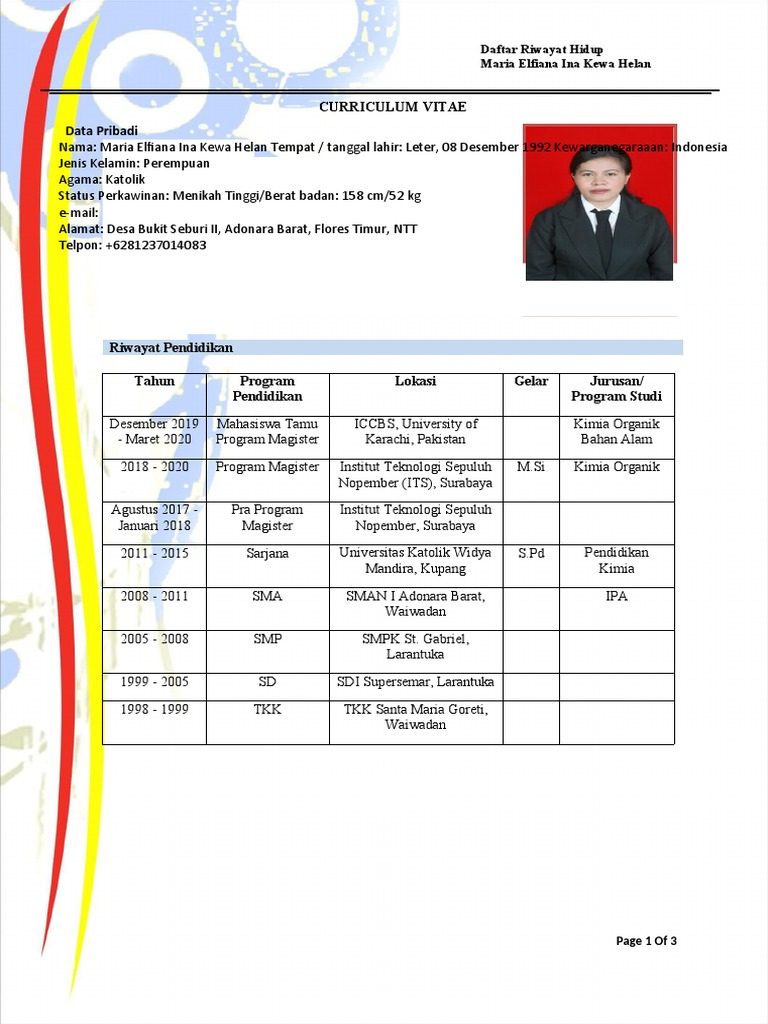 Curriculum Vitae-Dikonversi | PDF
