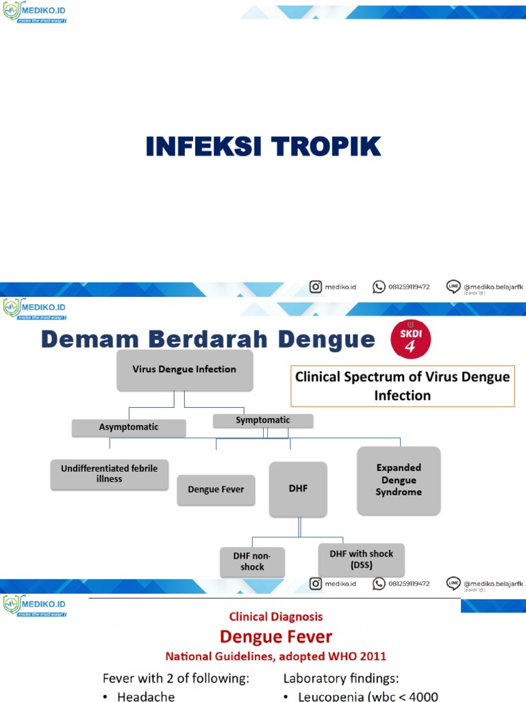 Malaria dan Demam Berdarah Dengue | PDF