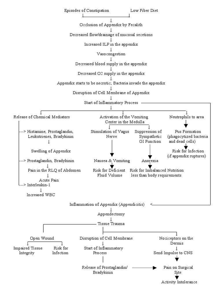 Pathophysiology of Appendicitis | PDF | Inflammation | Clinical Medicine