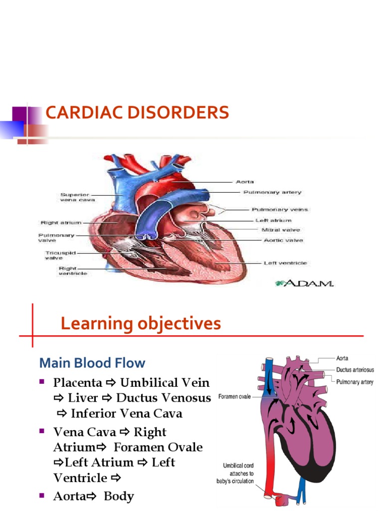Cardiac Disorders | PDF | Heart | Circulatory System