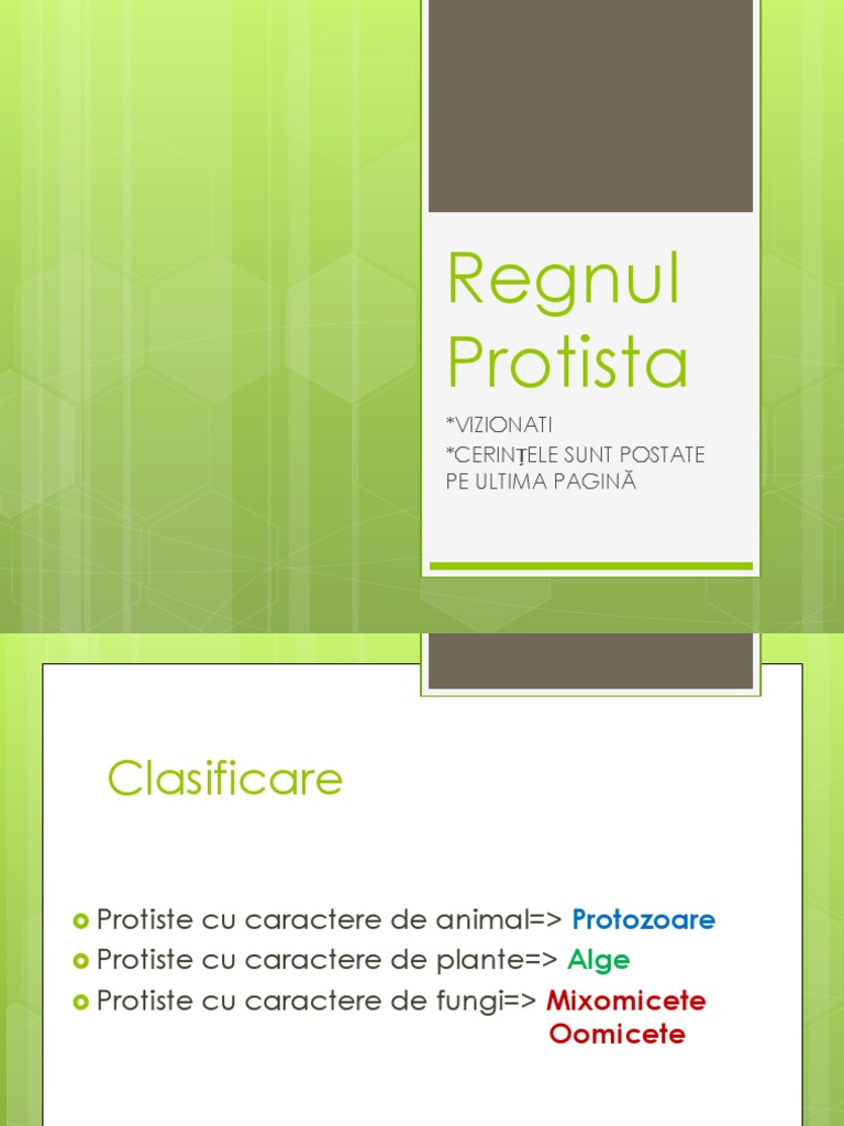 Tema 15 Regnul Protista | PDF