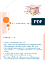 Anatomi dan Fisiologi Indra Penciuman | PDF