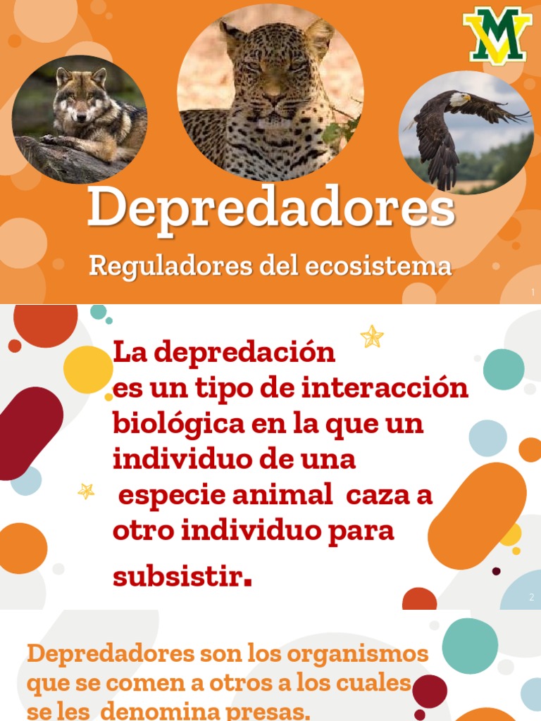 Depredación y su rol en ecosistemas | PDF | Depredación | Comportamiento