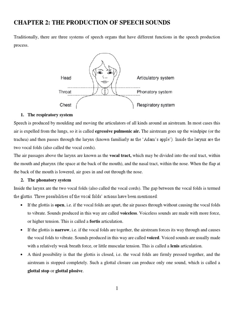 Chapter 2: The Production of Speech Sounds | PDF | Human Communication ...