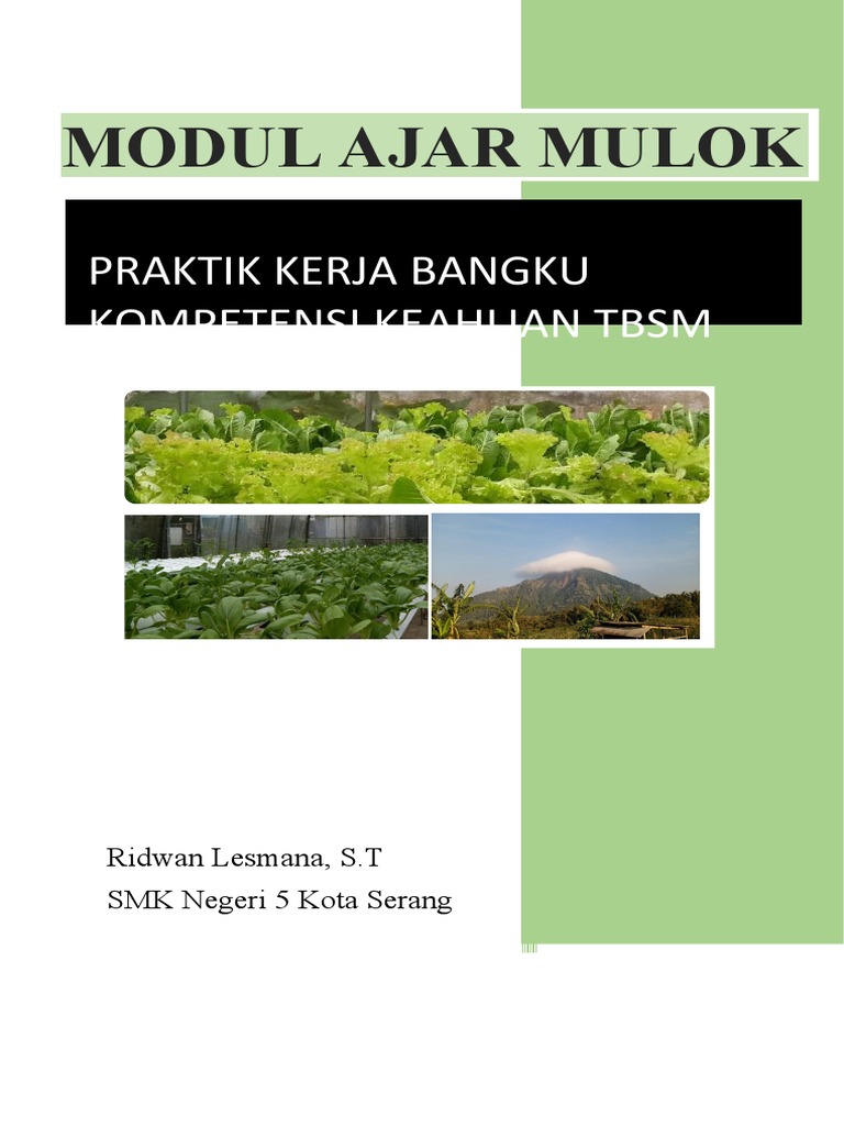 Judul yang Tepat untuk Modul Ajar Mulok tentang Praktik Kerja Bangku | PDF