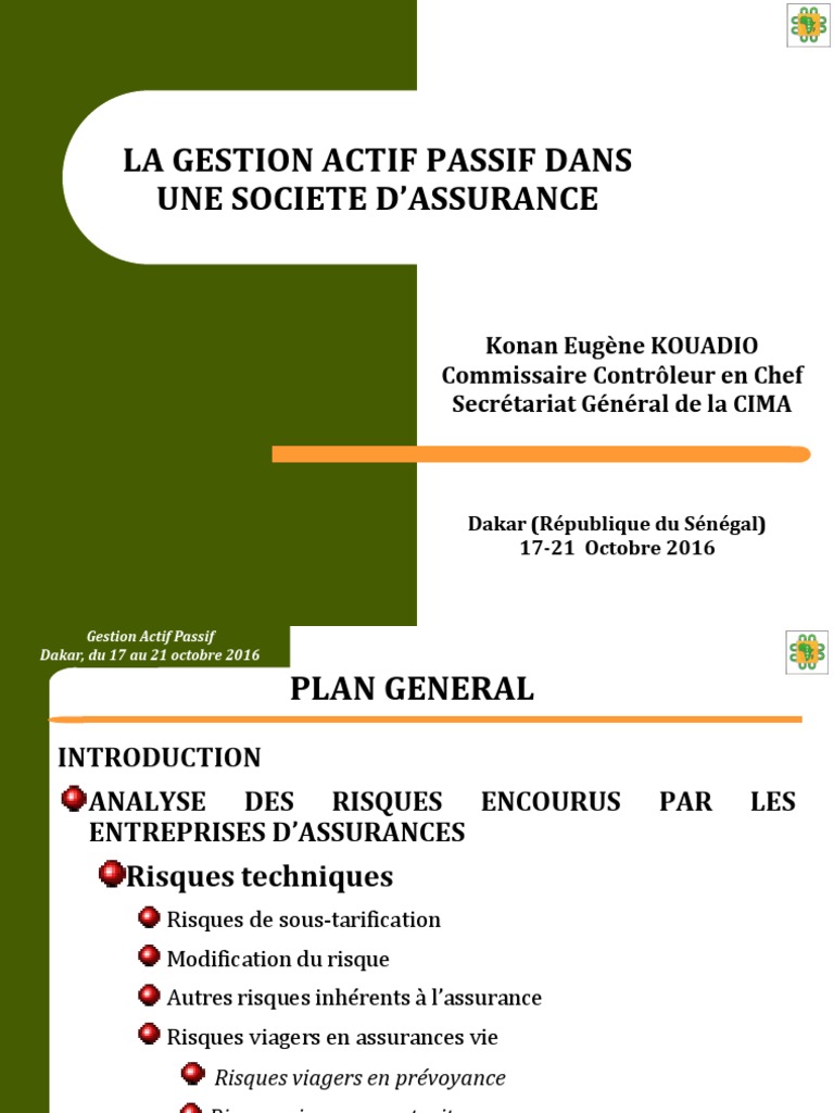 Actif Passif | PDF | Réassurance | Assurance