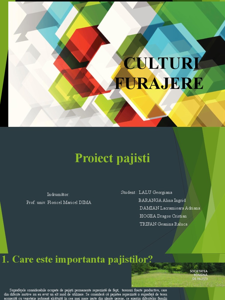 Proiect Pajisti | PDF