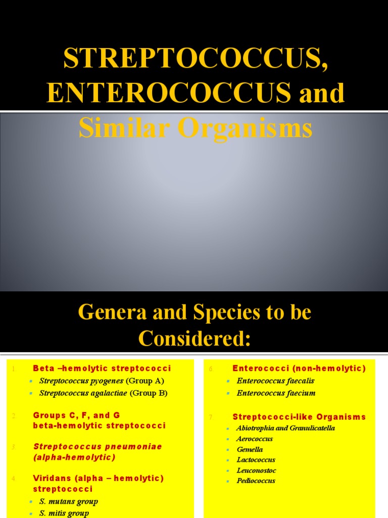 STREPTOCOCCUS CLASSIFICATION AND IDENTIFICATION | PDF | Streptococcus ...