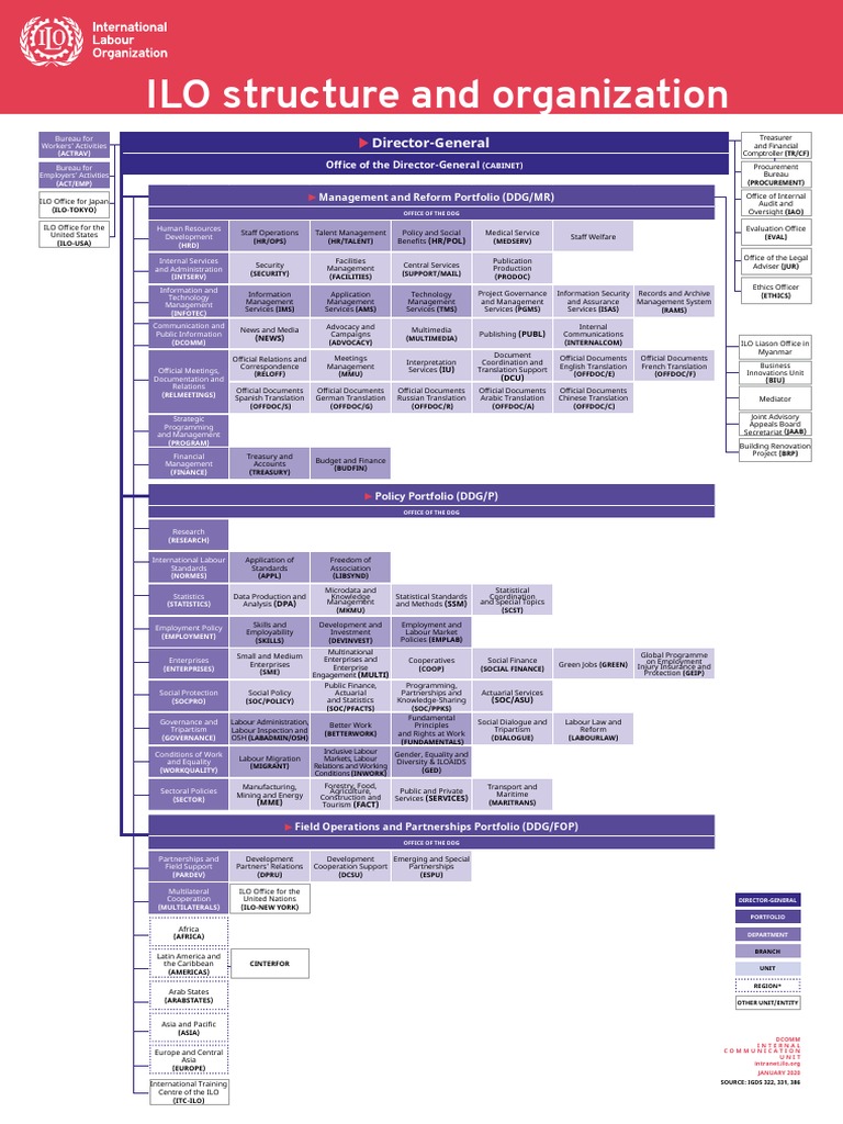 Oit Organigrama | PDF | International Labour Organization | Economies