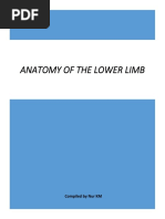 Anatomy of the Pelvis Explained | PDF | Pelvis | Vertebra