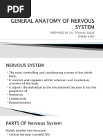 Anatomy - The Nervous System Powerpoint | PDF | Nervous System | Neuron