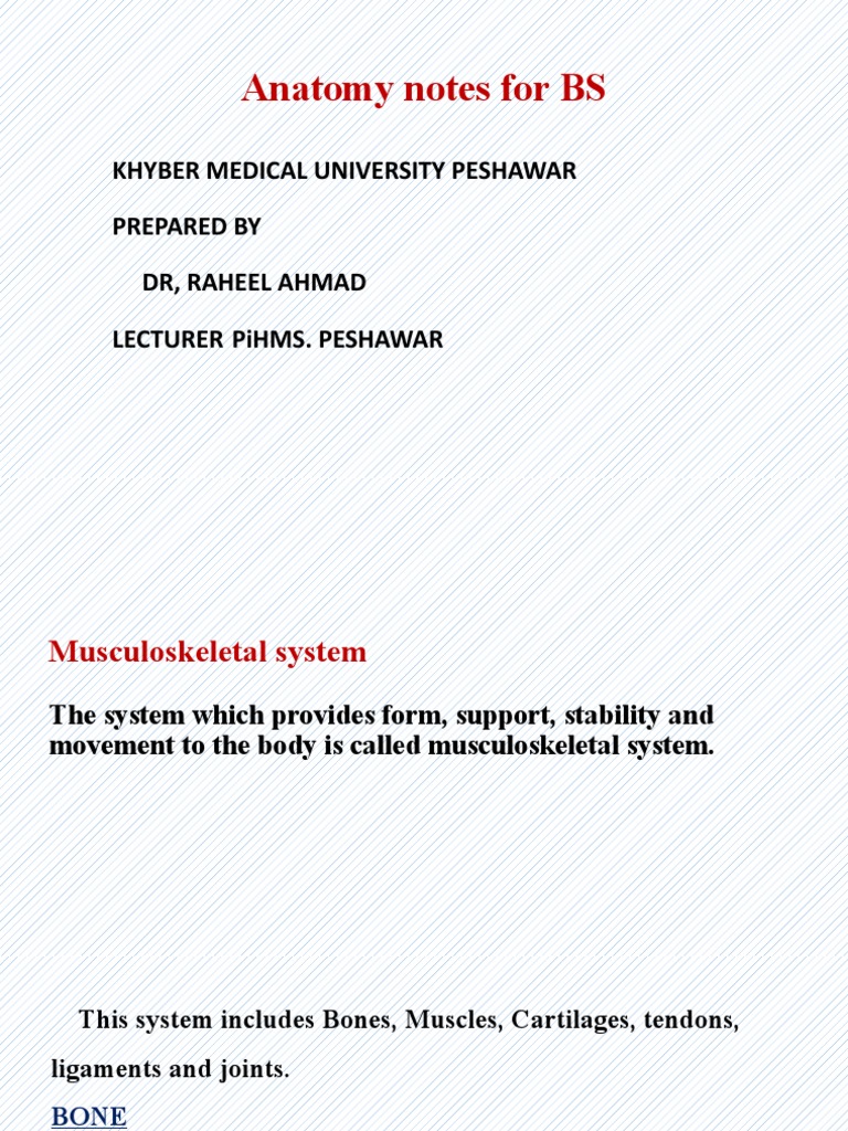 Musculoskeletal System Anatomy Notes | PDF | Human Musculoskeletal ...