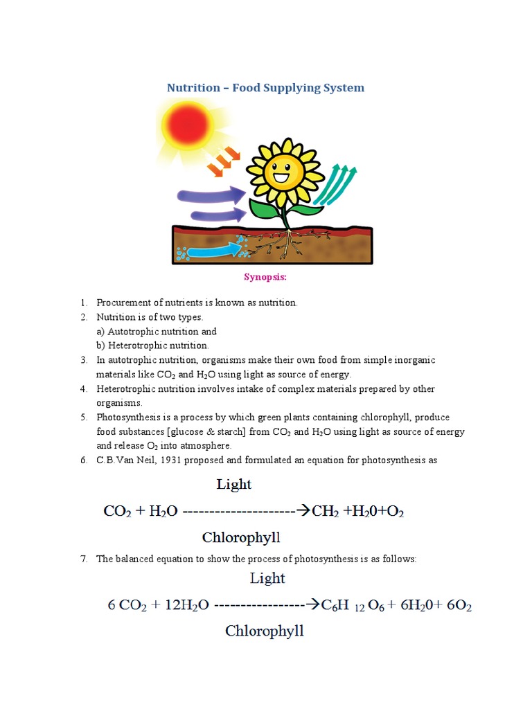 Nutrition - Food Supplying System | PDF | Digestion | Photosynthesis