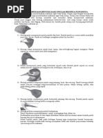 Bentuk Paruh Burung Dan Fungsinya | PDF