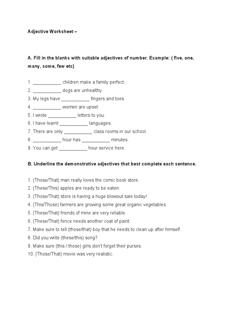 Adjective Practice Worksheet | PDF