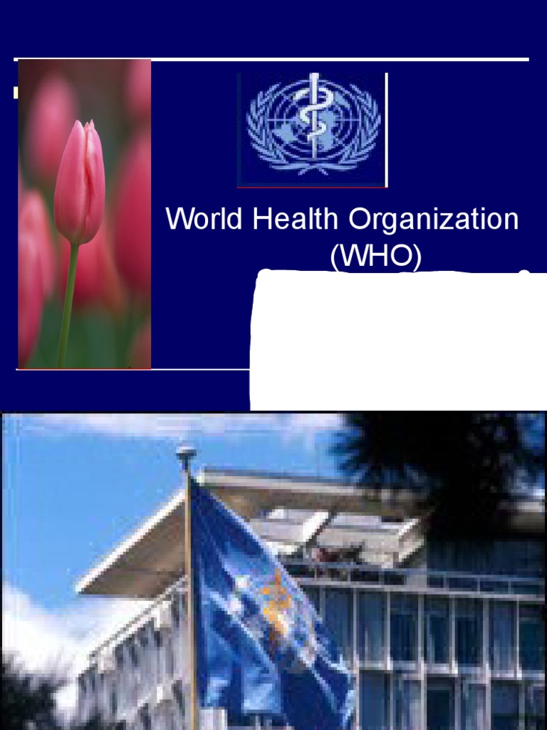 An Overview of the World Health Organization: Its Vision, Mission ...