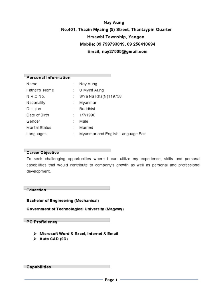 Nay Aung CV - Form | PDF | Myanmar | Communication