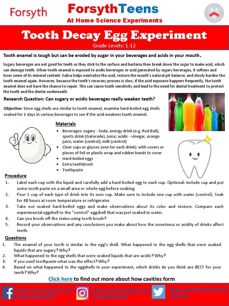 Egg Tooth Decay Experiment Grades 1 12 | PDF | Tooth Enamel | Tooth