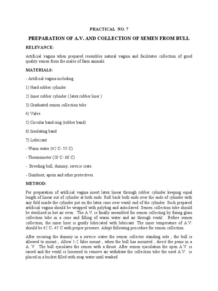 Bull Semen Collection Guide | PDF | Semen | Natural Rubber