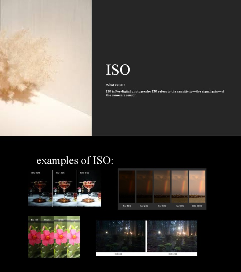 Iso 1 | PDF