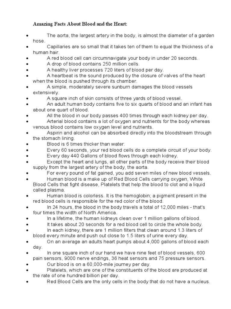 Amazing Facts About Blood and The Heart | PDF | Blood | Circulatory System