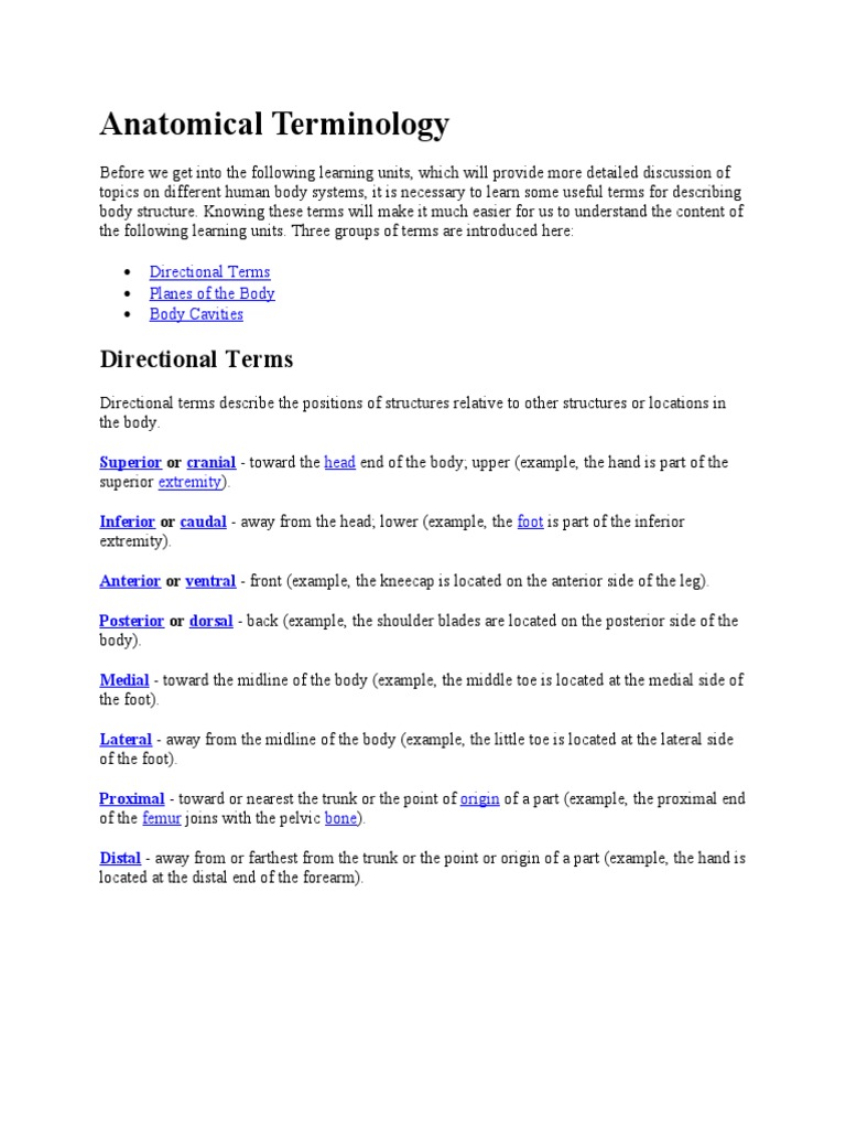 Anatomical Terminology: Directional Terms | PDF | Human Body ...