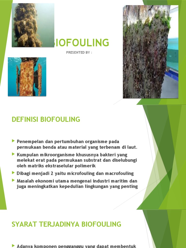 Bio Fouling | PDF