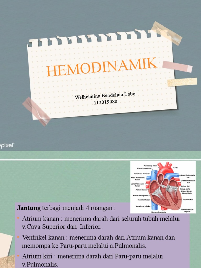 HEMODINAMIK-ppt Welhelmina | PDF