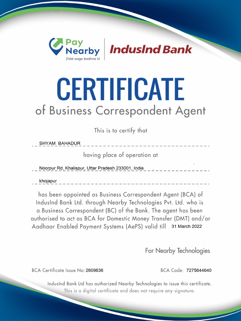 BCA Certificate | PDF