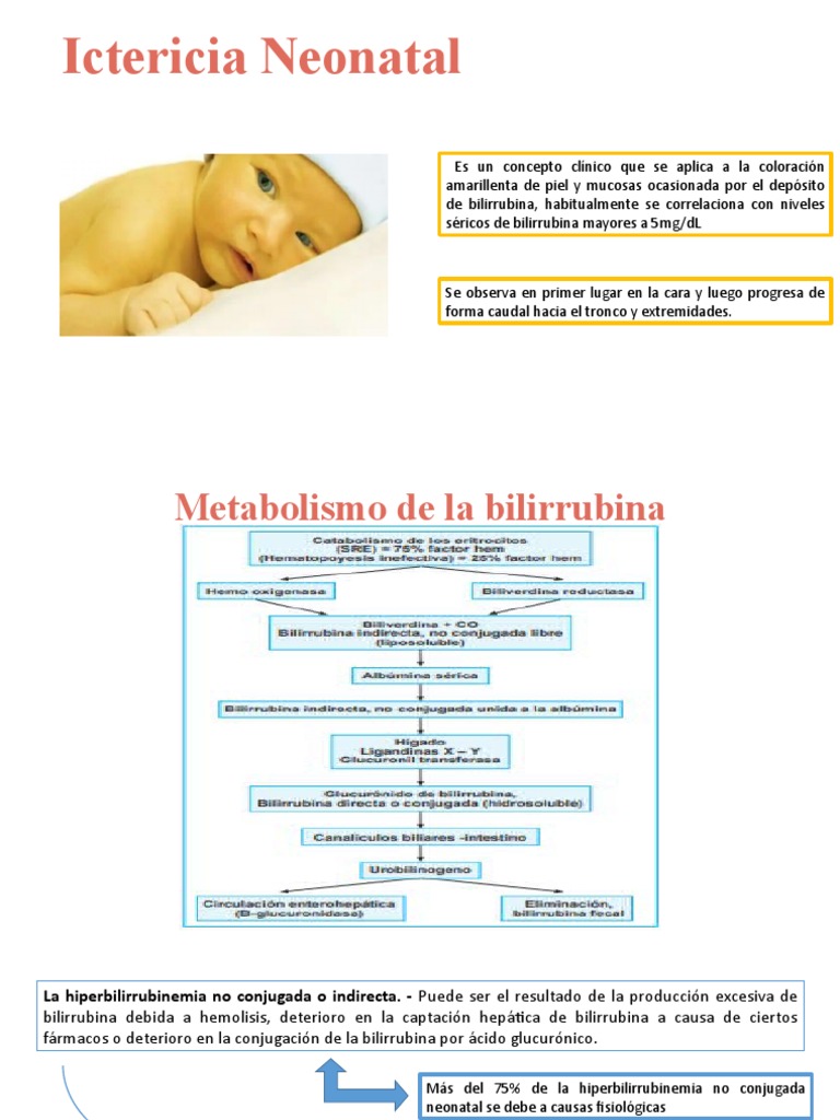 Ictericia Neonatal - 1parte | PDF | Especialidades Medicas | Medicina CLINICA