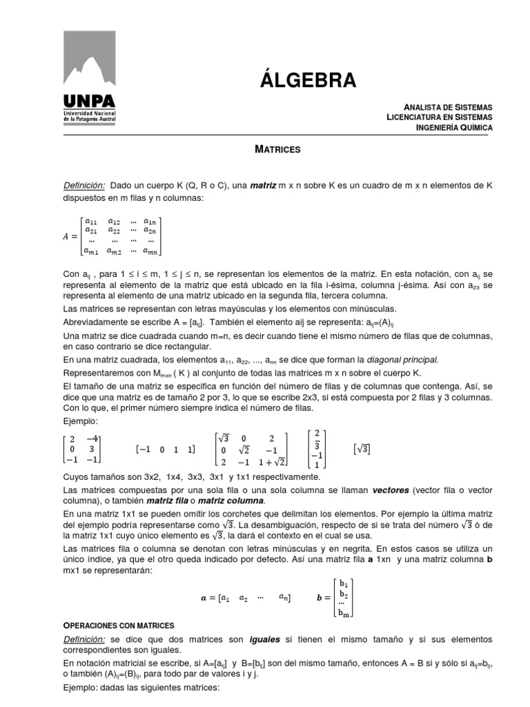 Matrices | PDF | Matriz (Matemáticas) | Exponenciación
