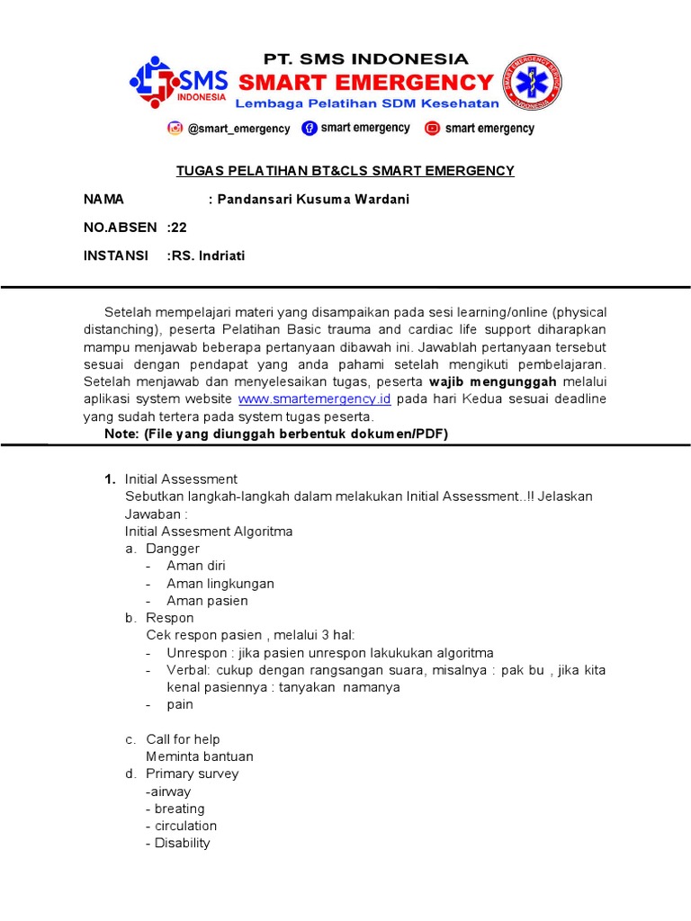 Tugas Ke 2. Smart Emergency. Pandan | PDF