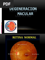 Fondo de Ojo Normal | PDF | Ojo humano | Percepción visual
