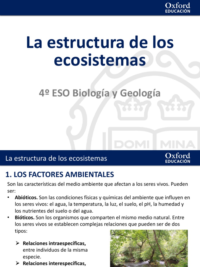 Los Ecosistemas | Descargar gratis PDF | Ecosistema | Biología