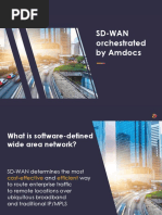Riverbed SD-WAN Solution | PDF