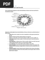 Celery Stem Xylem & Phloem Microscope Analysis | PDF | Plant Stem ...