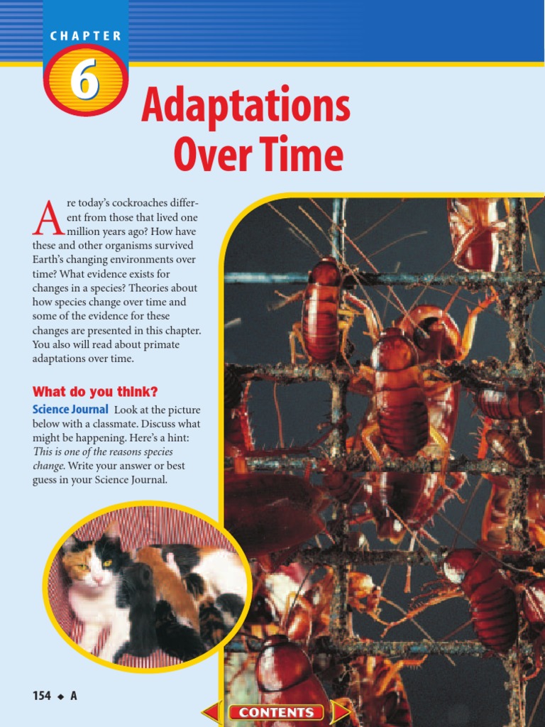 Adaptations Over Time | PDF | Natural Selection | Evolution